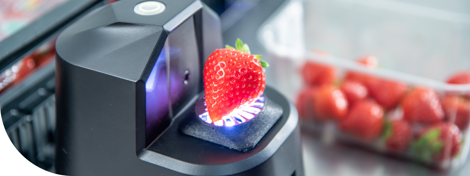 OneThird | Mediaroom